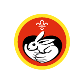 Cub Badges – 1st Markfield Scout Group